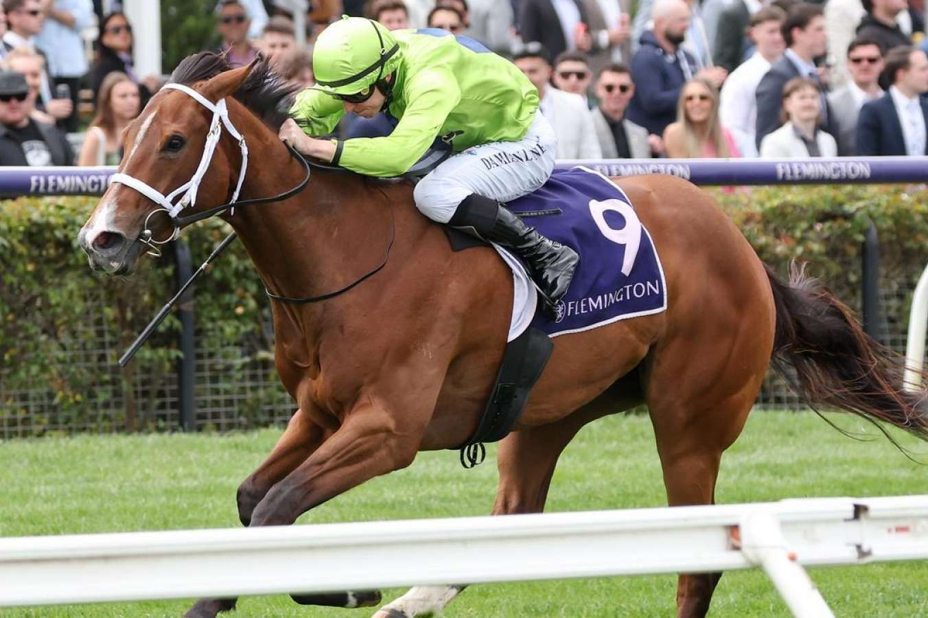 Phillip Stokes pair thriving ahead of Group 1 Robert Sangster at ...