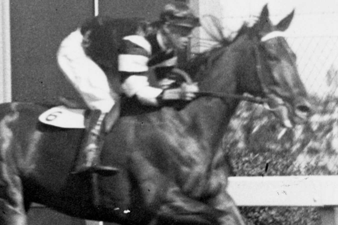 Ray Thomas calls to rename Group 1 races in honour of Hall of Fame ...