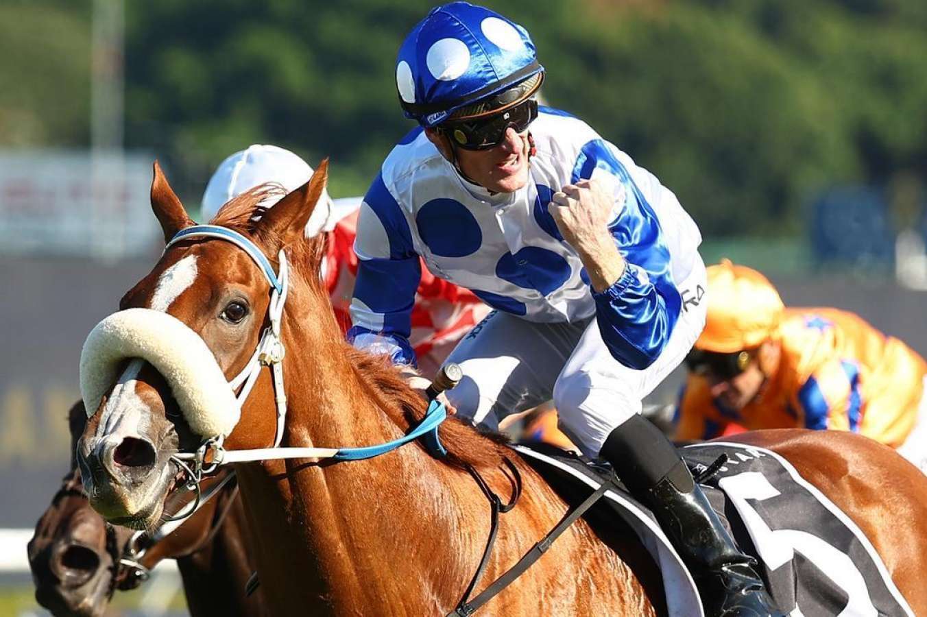 Peter Moody hails Autumn Angel after Australian Oaks upset