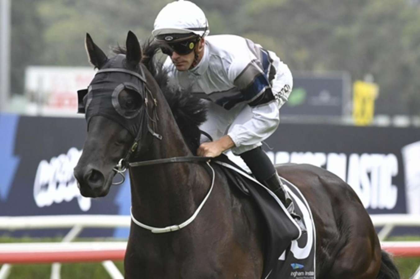 Bianco Vilano punches ticket for Country Championships Final at Randwick