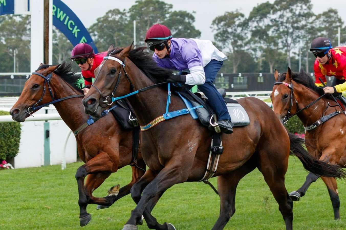 Griff and Tiz Invincible tune up for Sydney autumn carnival with ...