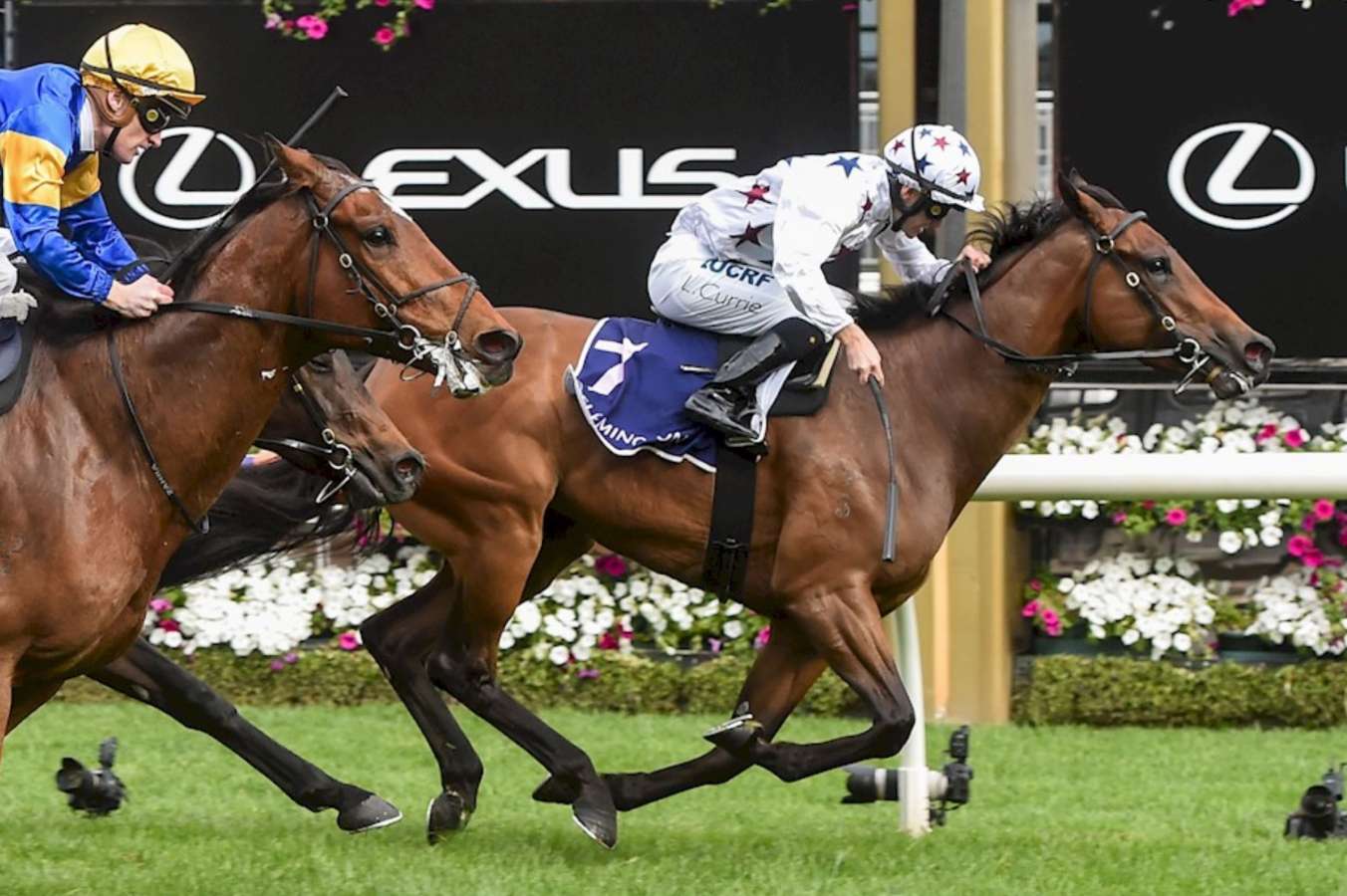 Sunlights $1.4m foal to be unleashed at Warwick Farm on Friday