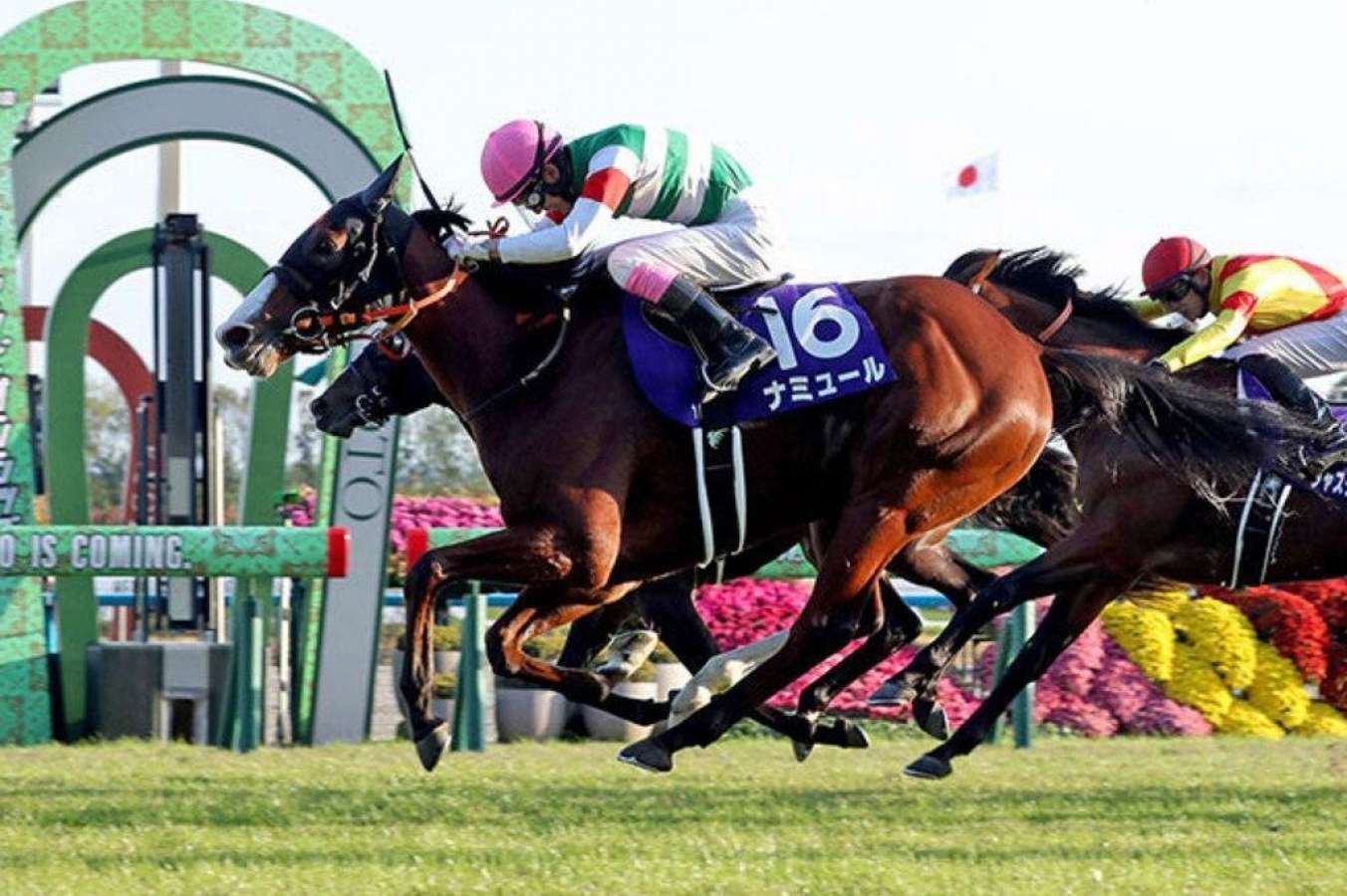 Namur claims elusive Group 1 triumph in Mile Championship with last-to ...