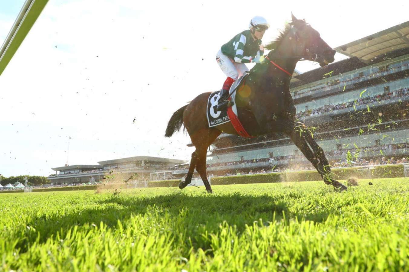 The Everest flop gets conditions to suit at Randwick