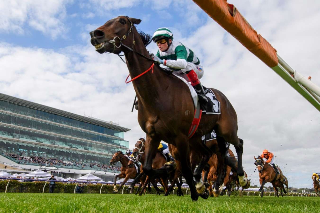 Future History wins The Bart Cummings to qualify for Melbourne Cup