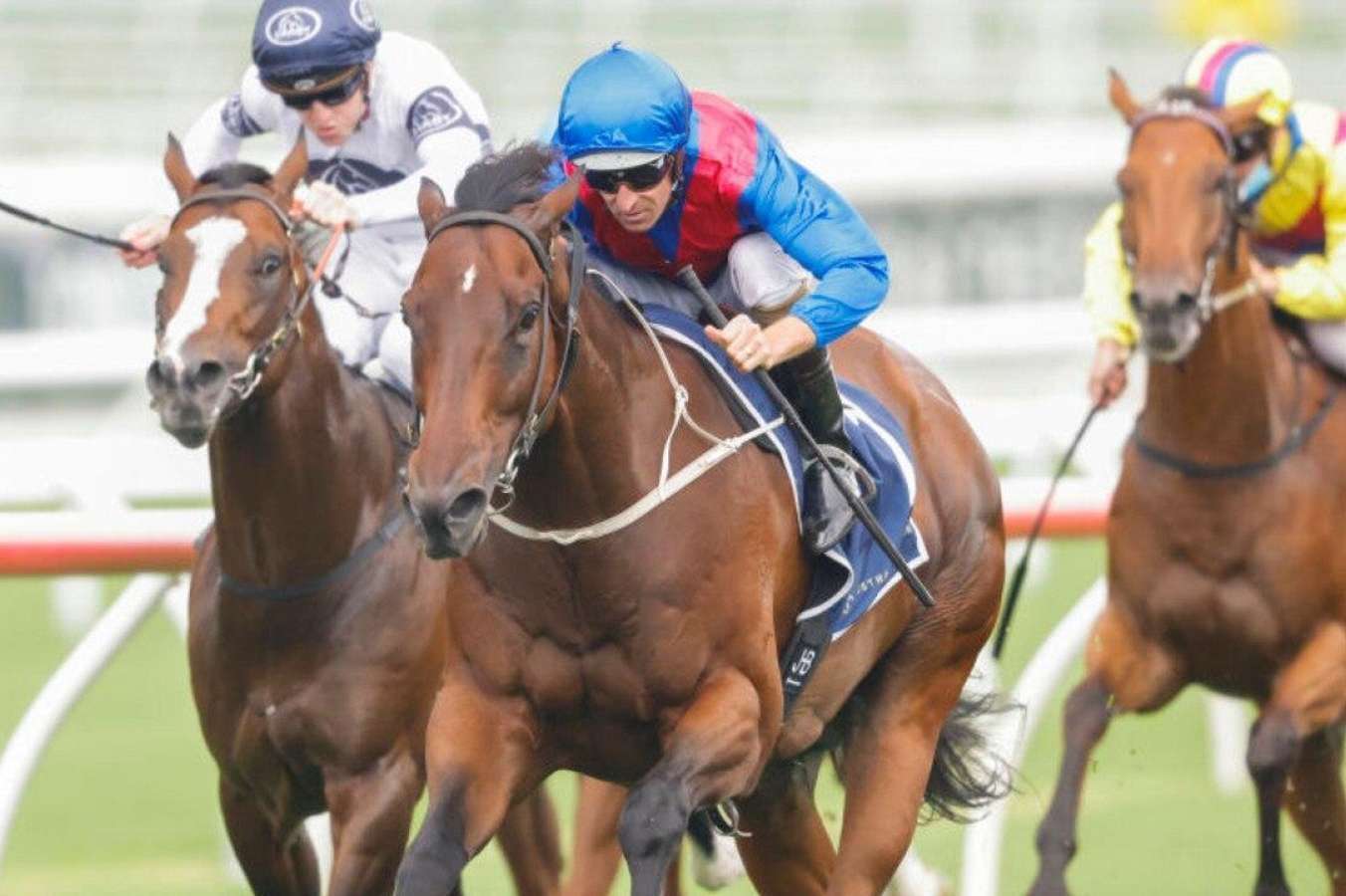 Gun sprinter Lost And Running retired after Premiere Stakes failure