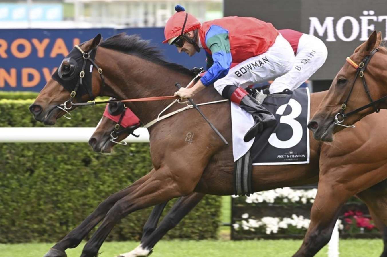 Shocking day: Sharp N Smart faces uncertain future after wet track howler