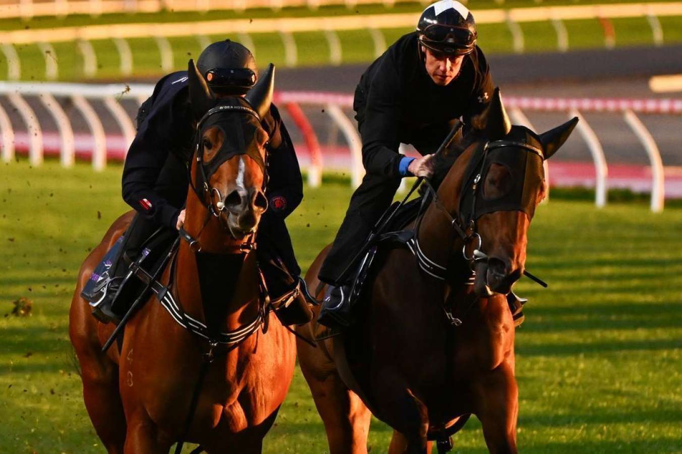 The Valley gallop primes Uncommon James for Group 1 Moir Stakes test