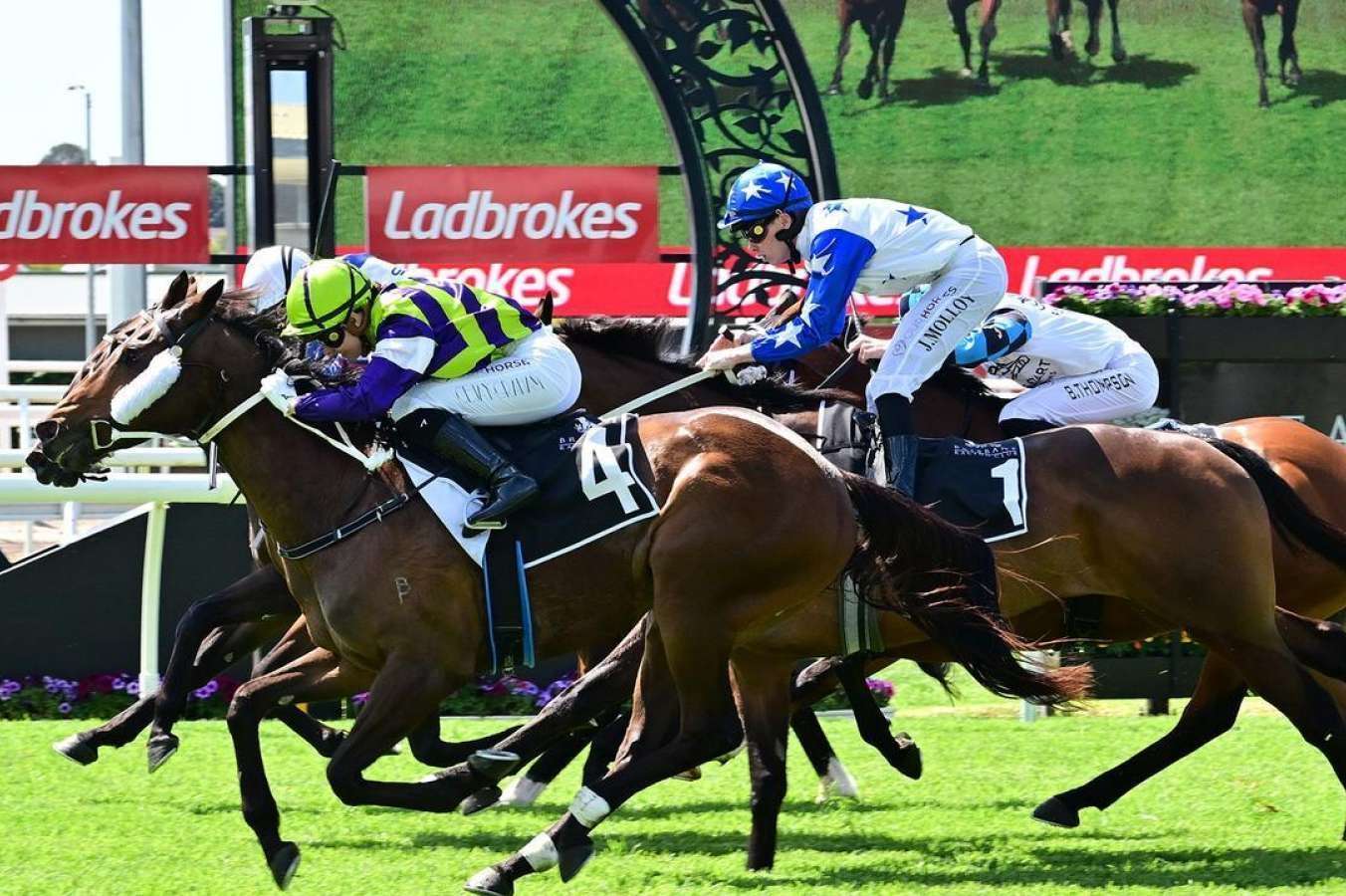 Racing Queensland trials 10-race cards in significant wagering shake-up