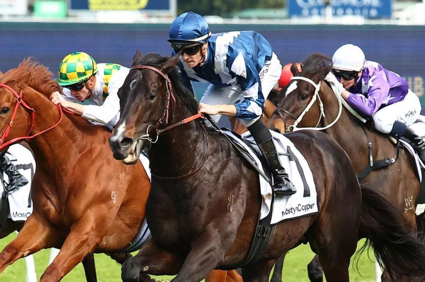 TAB secures rising sprinter Buenos Noches for The Everest