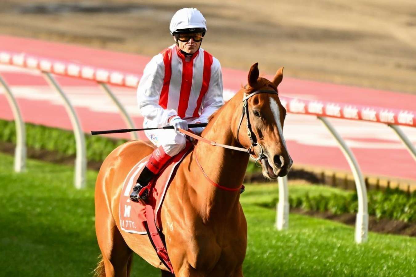 Craig Williams refuses to buy into speculation he could lose ride on ...