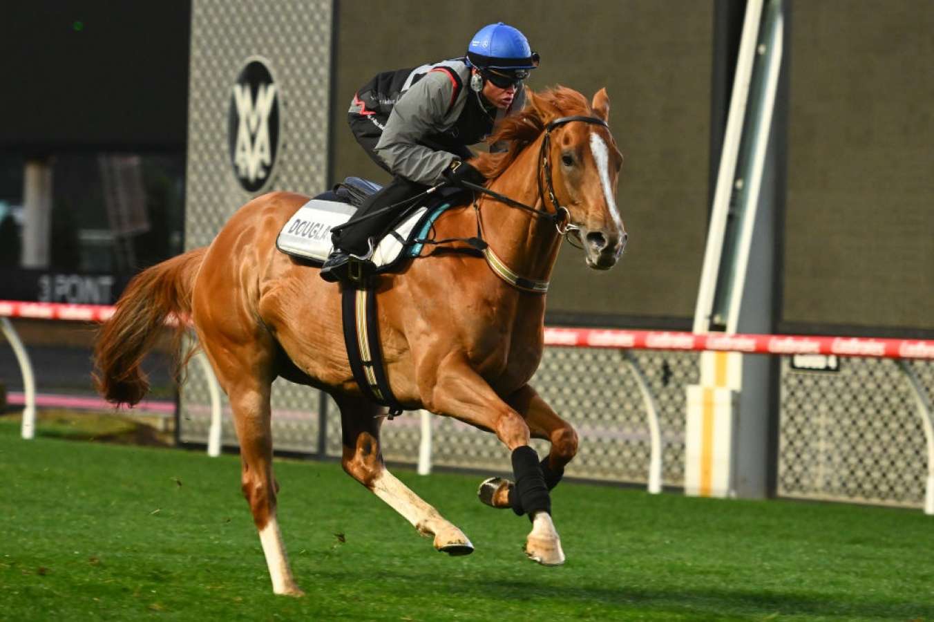 Pro punter Kingsley Bartholomew happy to take on Giga Kick at even-money
