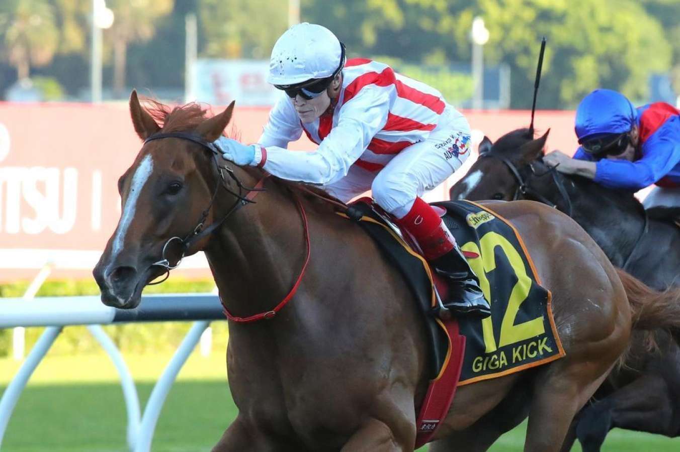 The full story how Giga Kick survived near-fatal colic attack
