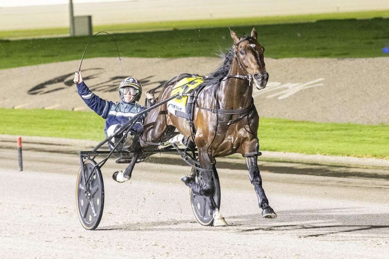 Jason Grimson emerges as secret weapon for Captain Ravishing in TAB Eureka