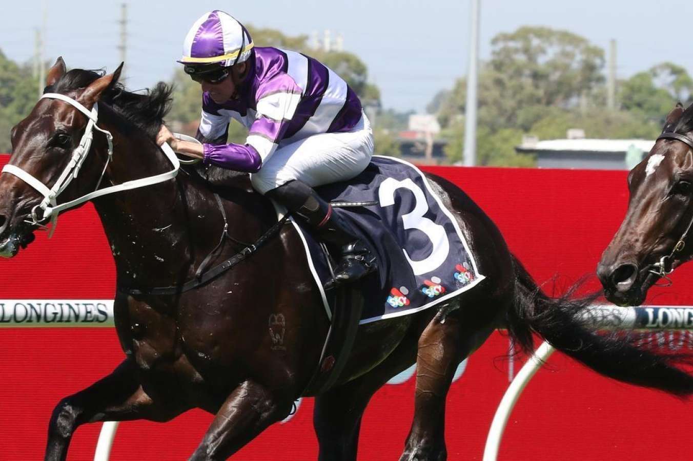 Winx Stakes: German metal link to Lindermann revealed