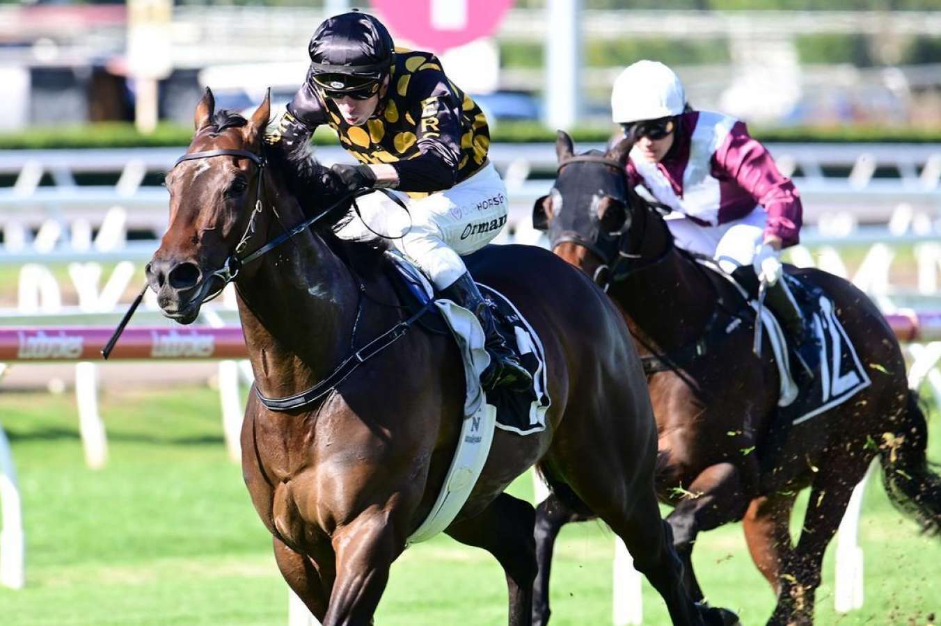 Premiership-winning duo Jimmy Orman and Tony Gollan take charge at ...