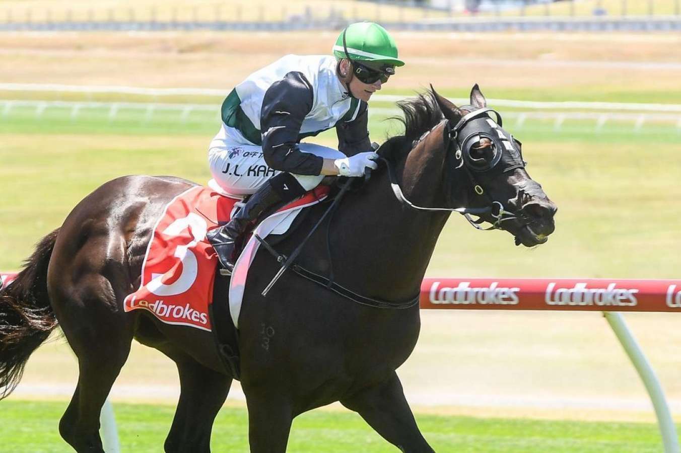 Lindsay Park retires veteran galloper So Si Bon