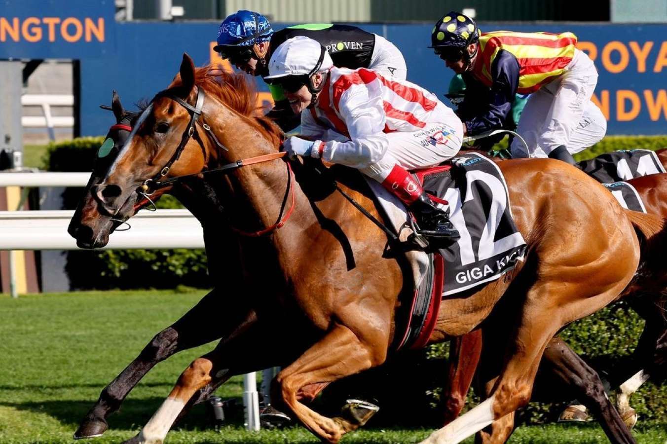 Tony and Stephen Brassel rank their top 30 moments of the 2022-23 ...