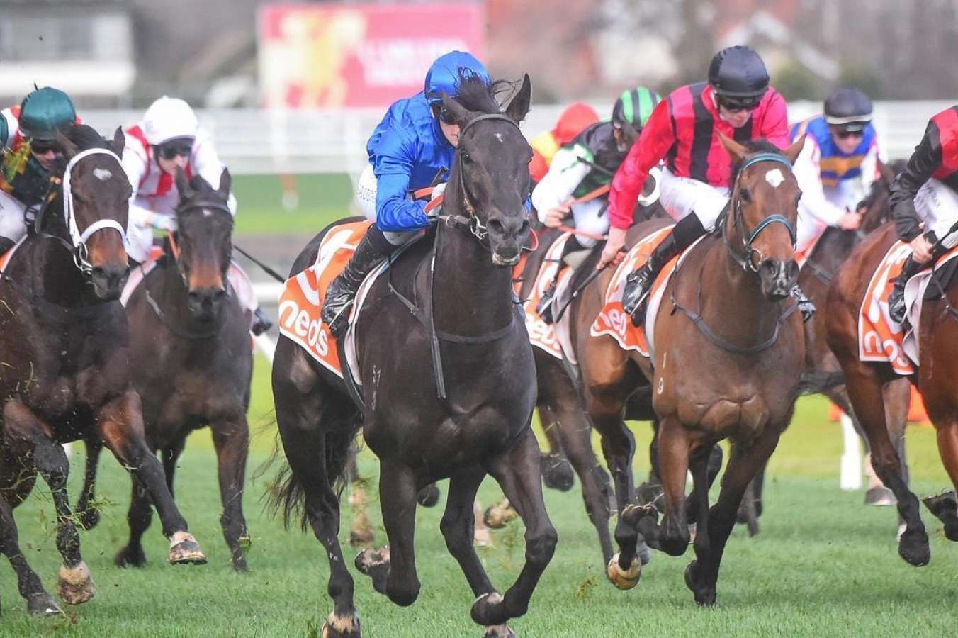 Melbourne switch paying dividends for talented filly Kin