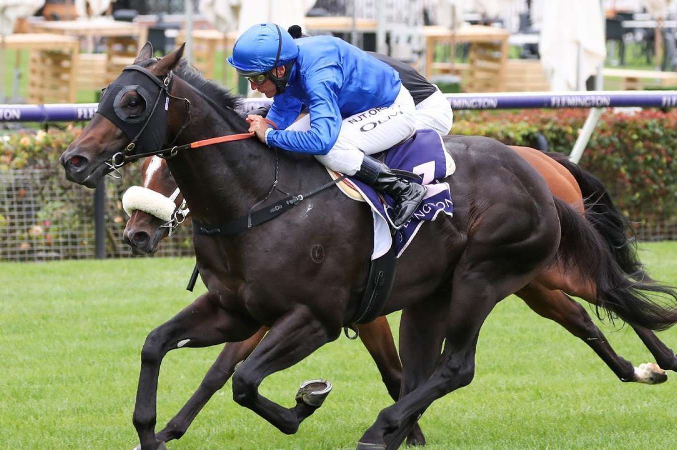 Ingratiating can bounce back in Bletchingly Stakes at Caulfield