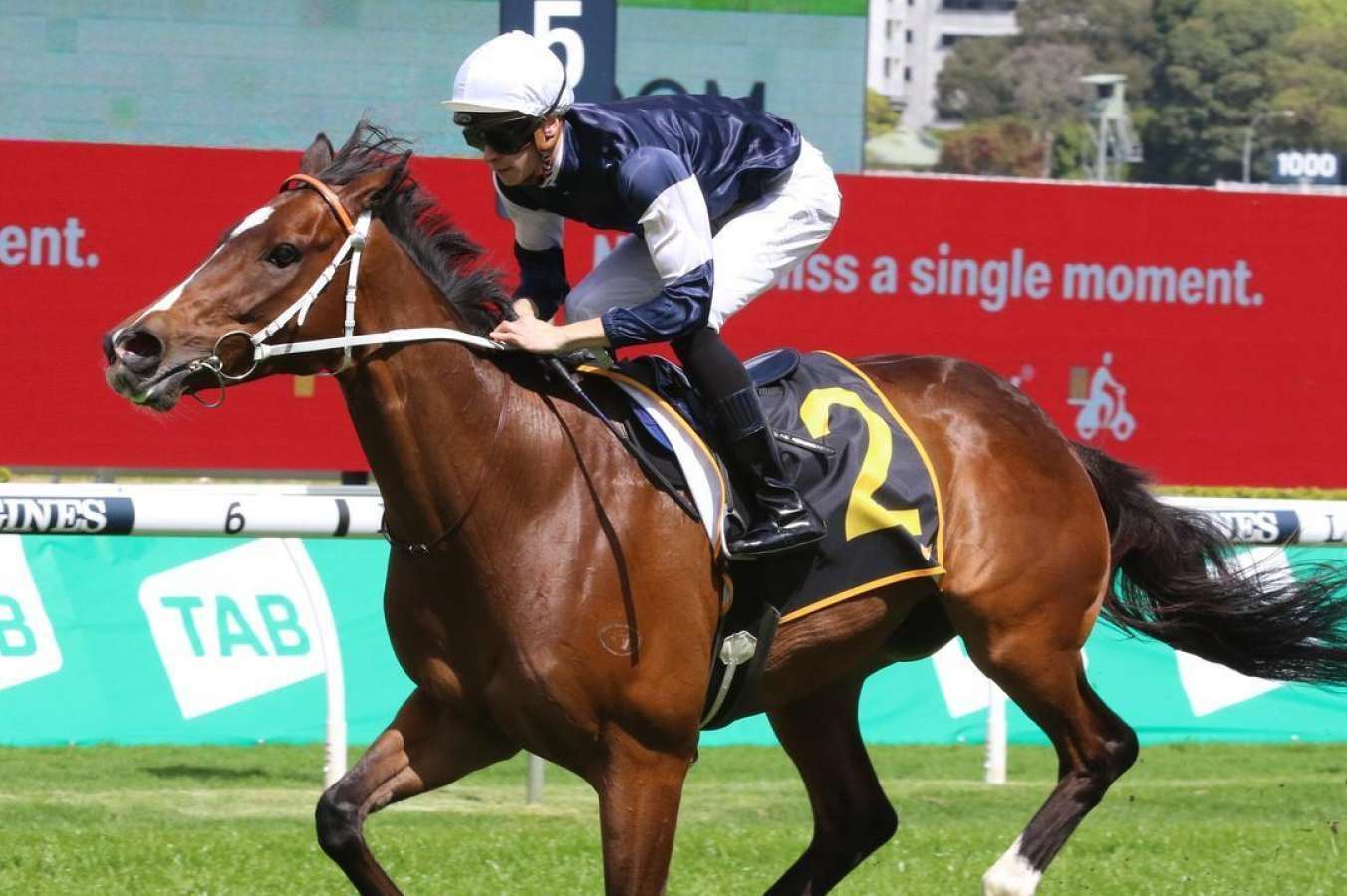 Mark Minervini chases Winter Stakes with new recruit Hosier