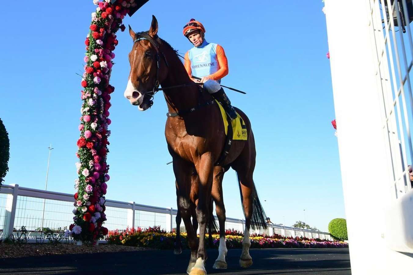 Fit for a Prince: Spring targets loom for Rob Heathcotes new-look team