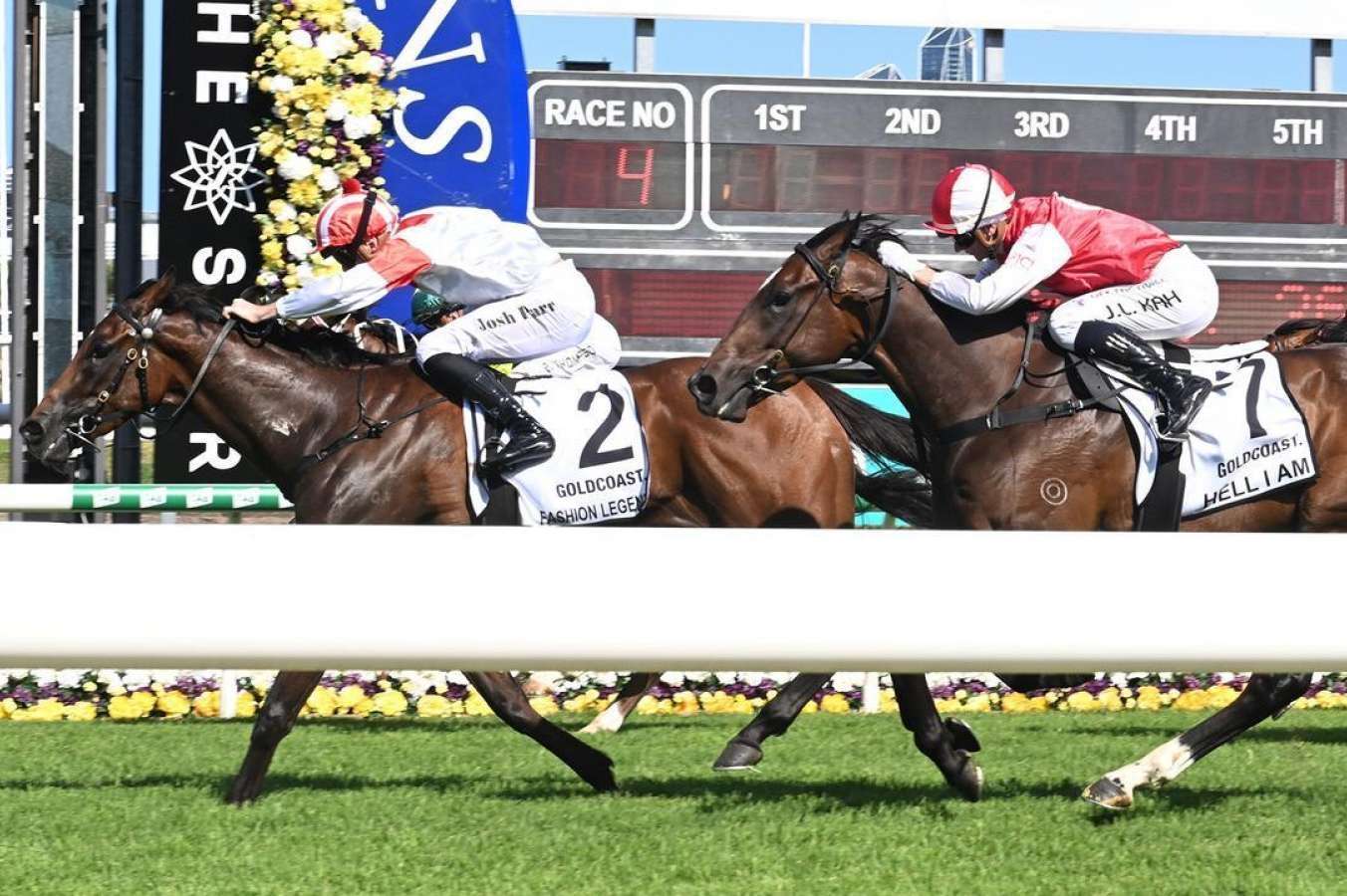 Will Freedman confident Fashion Legend can bounce back at Ipswich