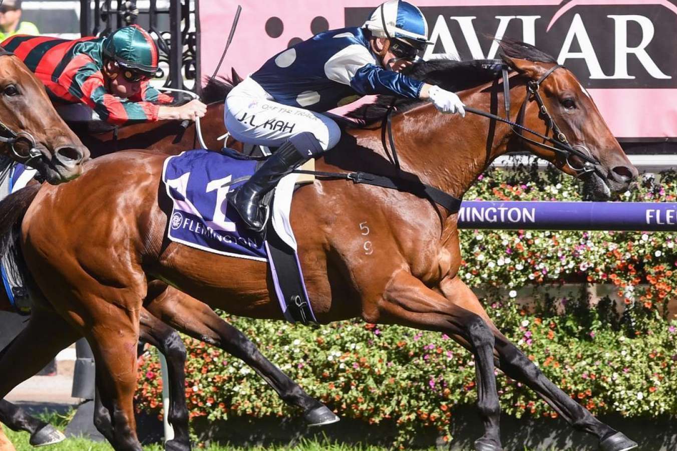 Coolangatta and Cannonball shine in Kings Stand Stakes gallops at Ascot