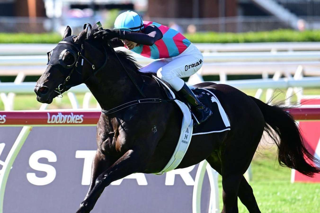 Tony Gollan finds silver lining to Antino missing start in Stradbroke