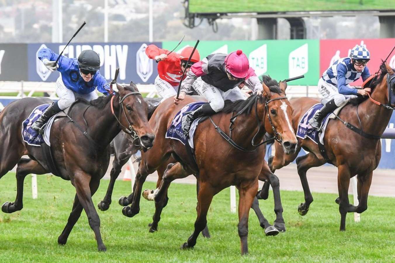 Monday Racebook: Horses to follow and forgive from Flemington