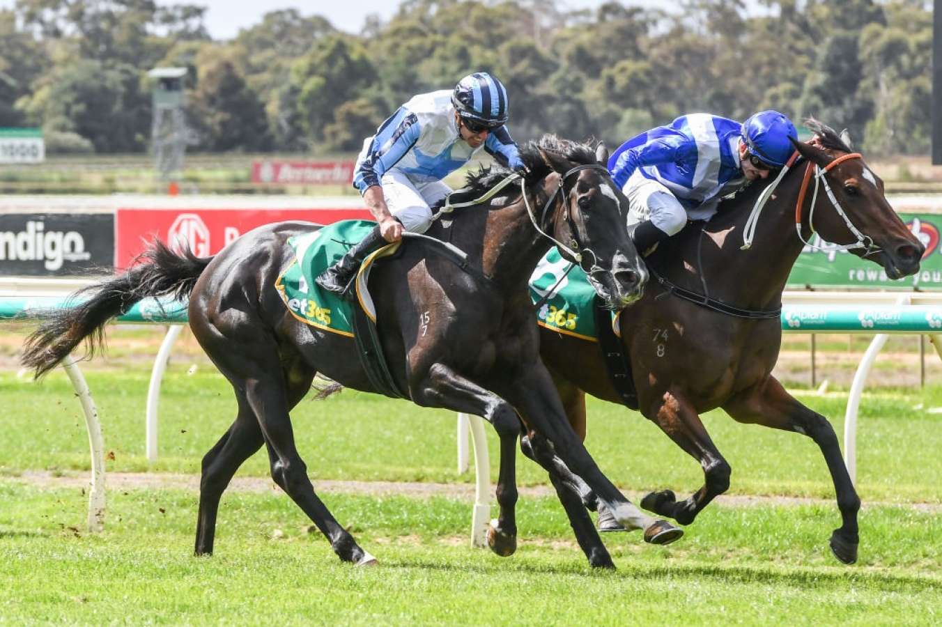 Jockey Billy Egan keen to build on Foxy Frida record with Queensland raid