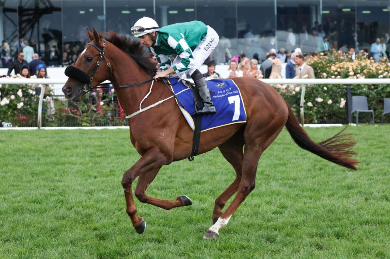 Enigmatic mare Mac N Cheese ready to go first-up at Flemington