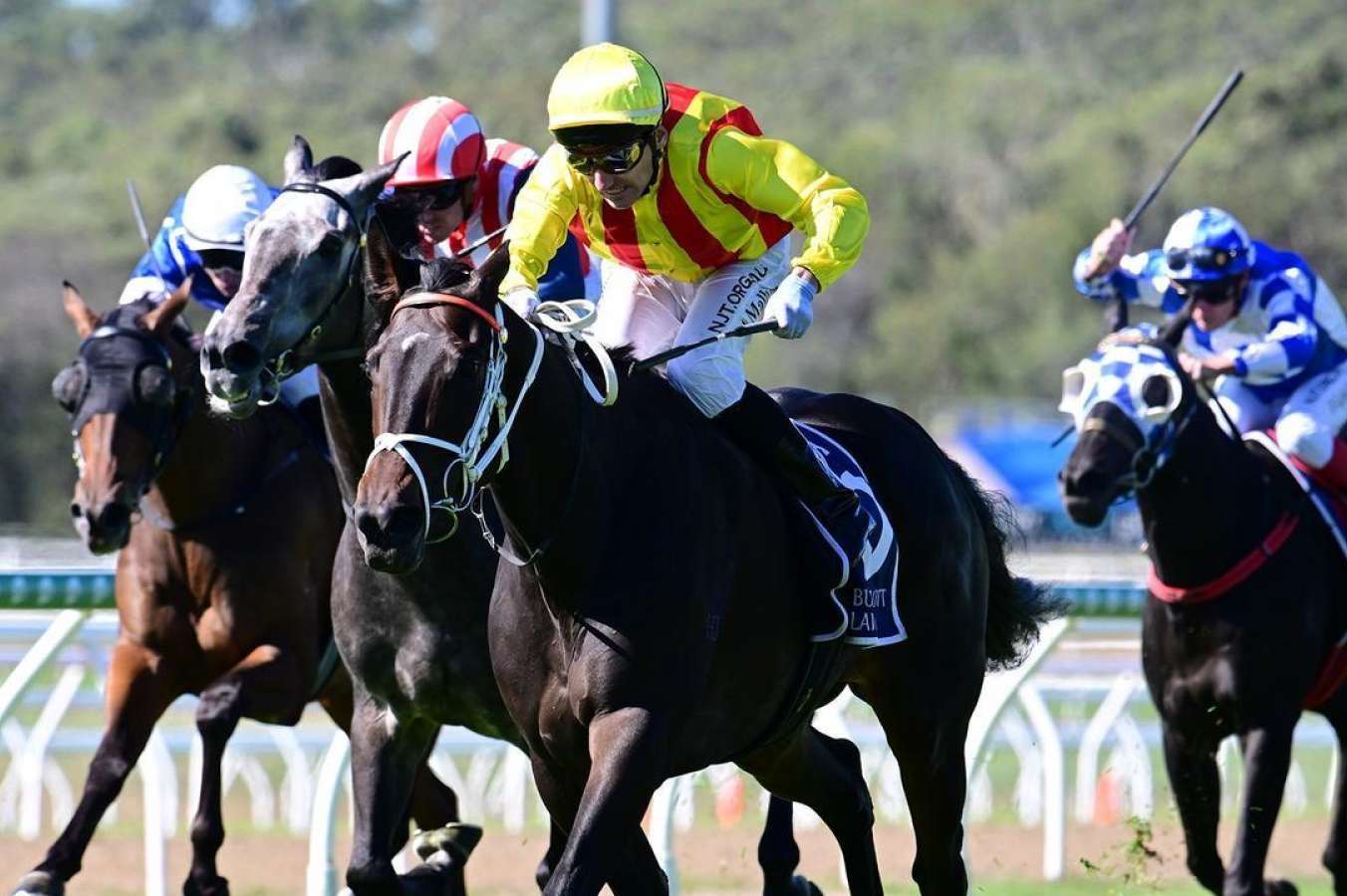 Sense of timing for Kris Lees Queensland Oaks roughie