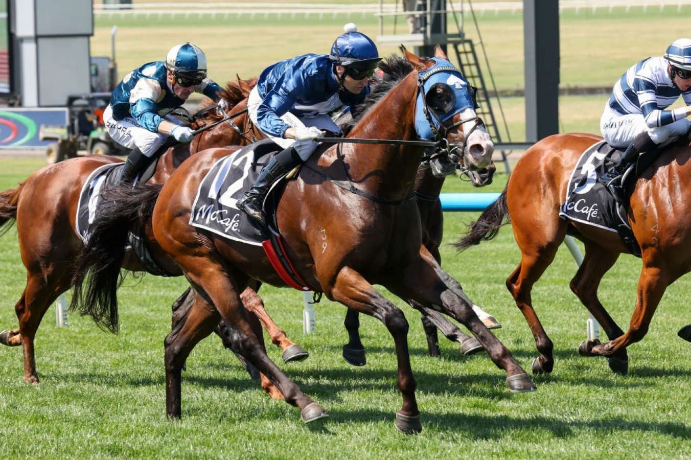 Pro punter against Lofty Strike in Group 1 Goodwood