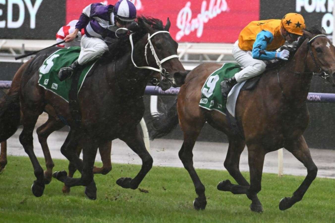 South Australian Derby: Runner-by-runner form analysis and tips