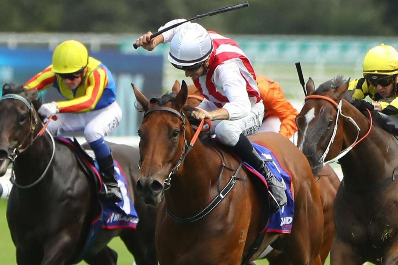 Robert Sangster Stakes: Grahame Begg tells punters to forget Passive ...