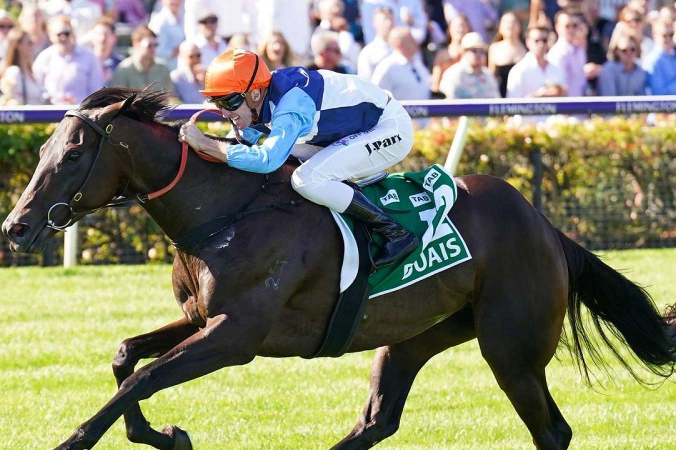 Missing trainer Bindi Cheers found