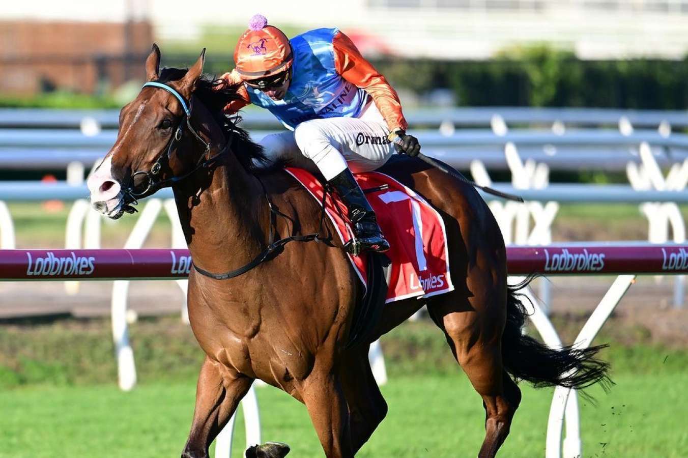 Rob Heathcote lays down winter marker with Prince Of Boom