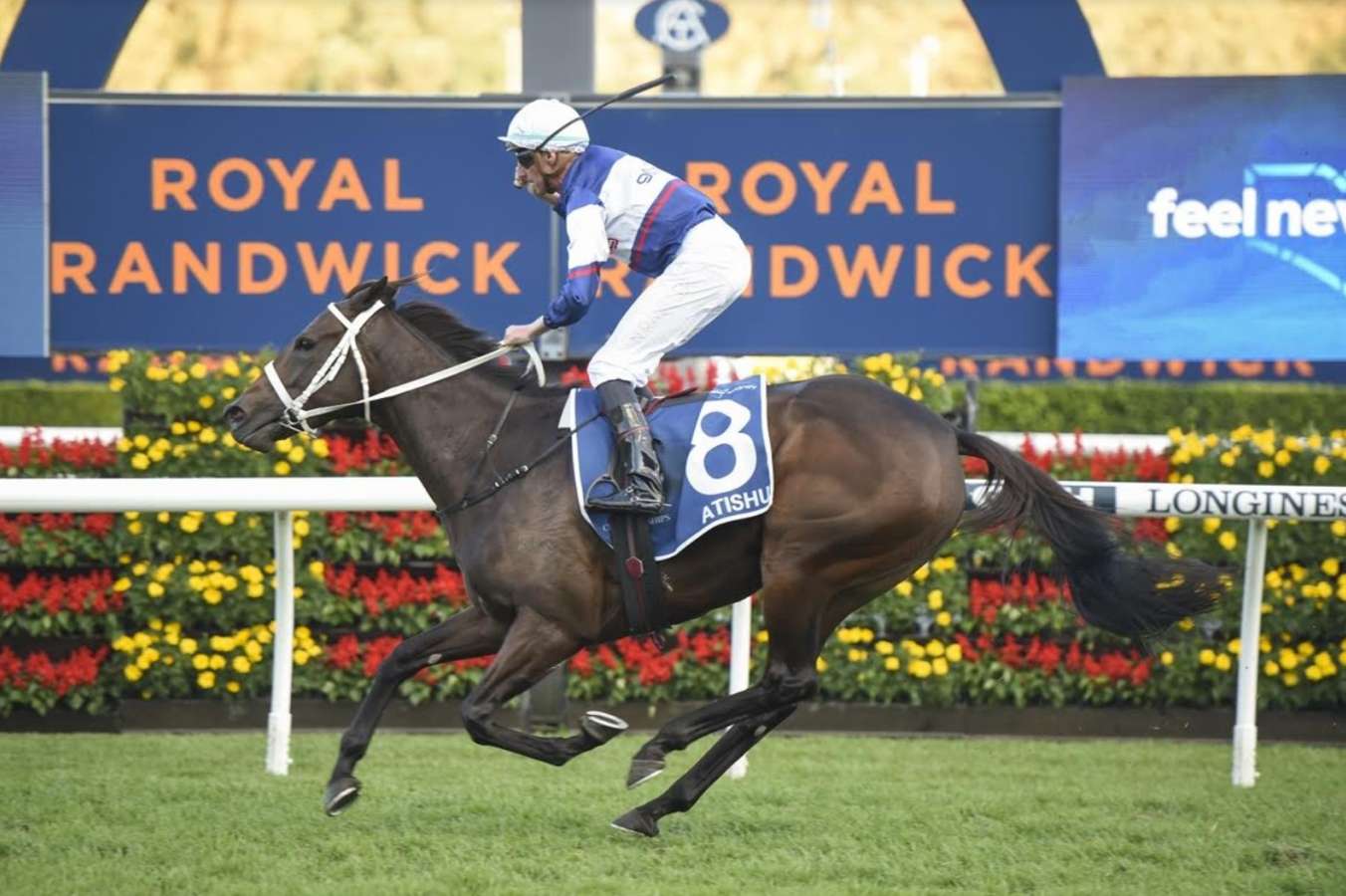 Queen Of The Turf Stakes: What the jockeys said after Atishus win