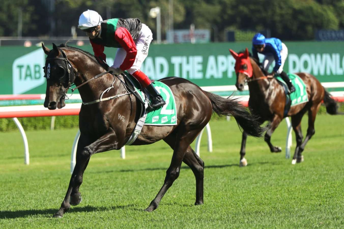 Well-fancied flops and forgives from Saturdays racing