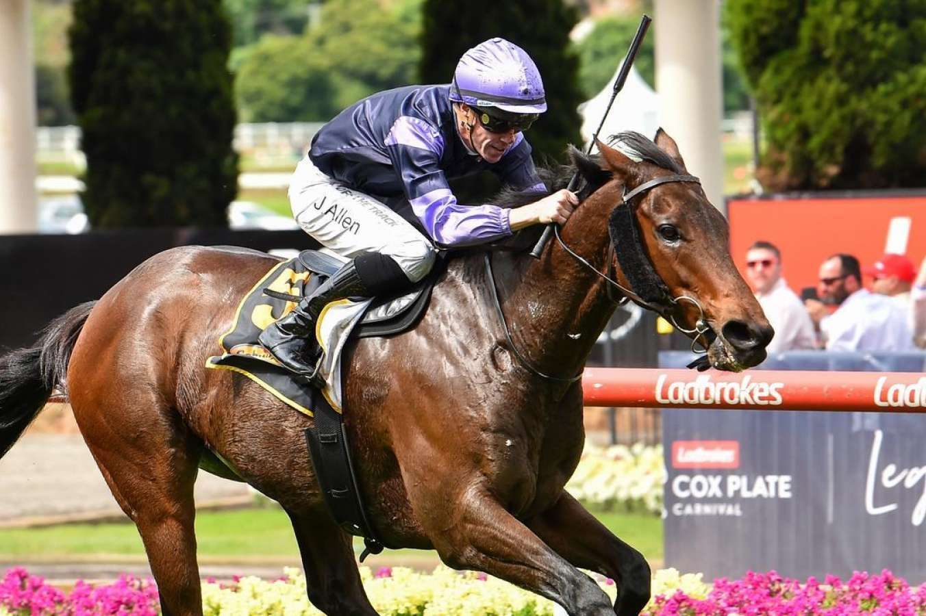 Annabel Neasham import My Oberon gets final All-Star Mile wildcard