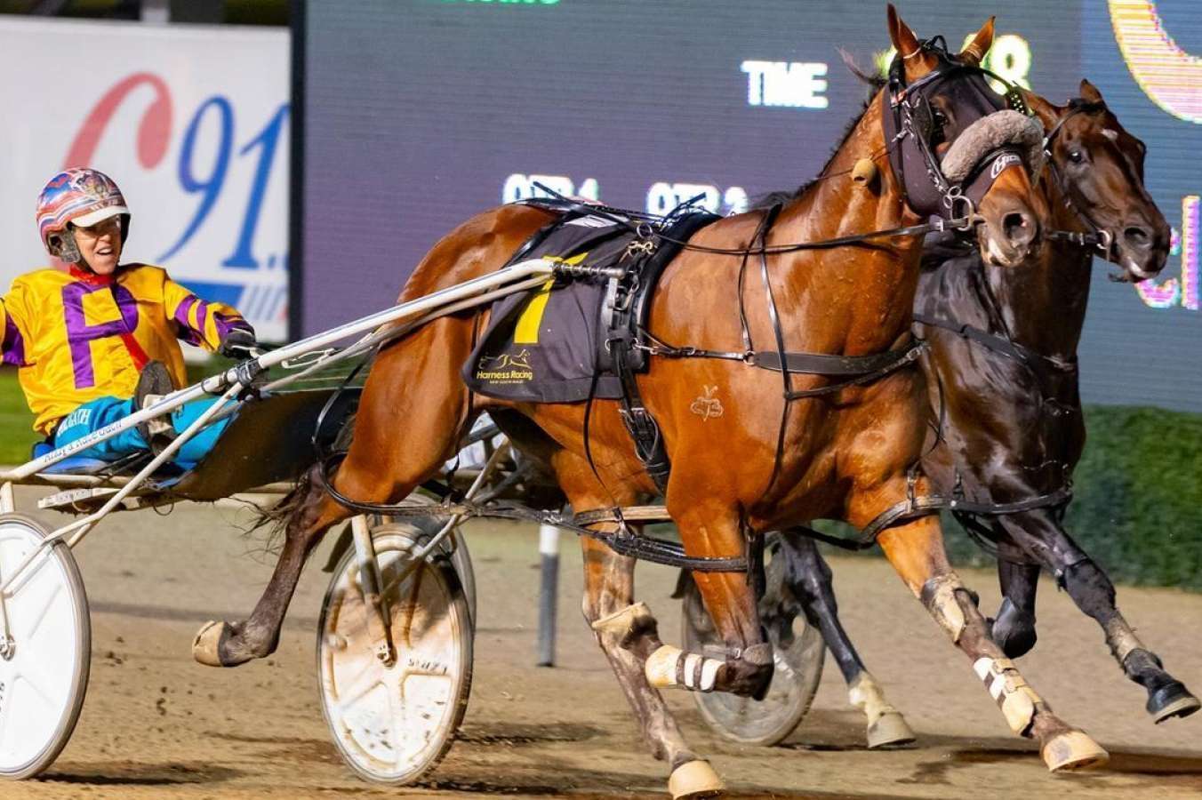 Star pacer Captain Ravishing drawn tricky in Miracle Mile