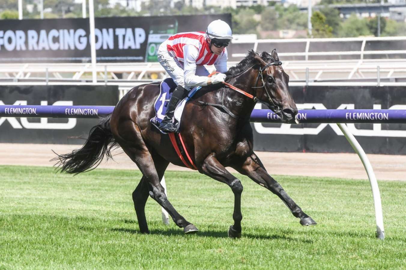 Promising filly given mandatory three-month ban after bleeding