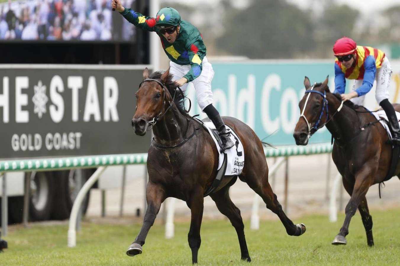 Officials appeal Alligator Blood ruling on 2020 Magic Millions 3YO Guineas