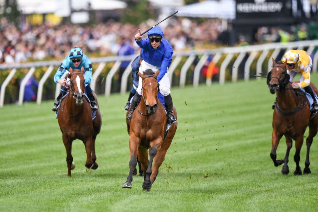 Magic Millions class of 2021: Stars and sale-toppers
