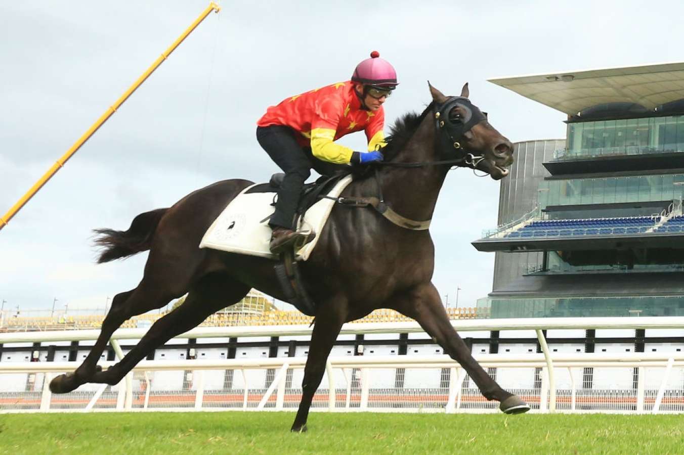 Trainers Anthony and Sam Freedman preparing Artorius for 1400m Group 1 ...