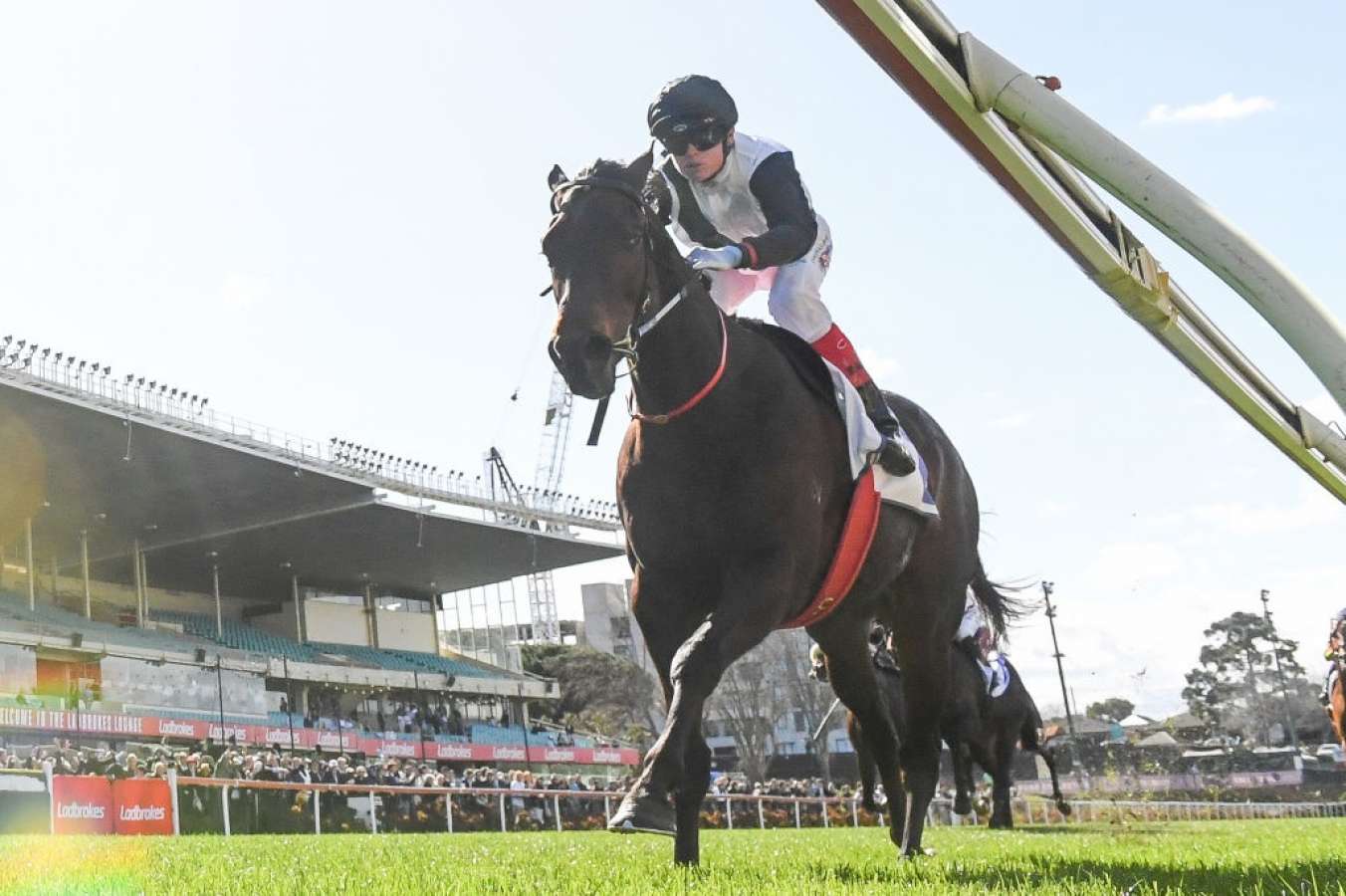 Ben and JD Hayes eyeing All-Star Mile with Mr Brightside