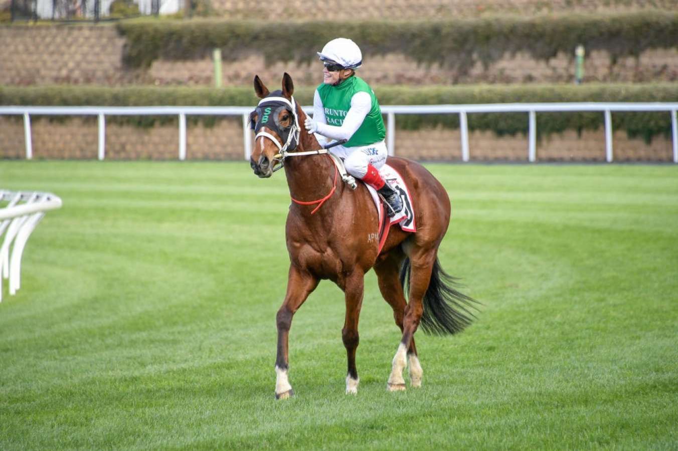 Newmarket win has Brunton dreaming of Dubai with pint-sized stable star