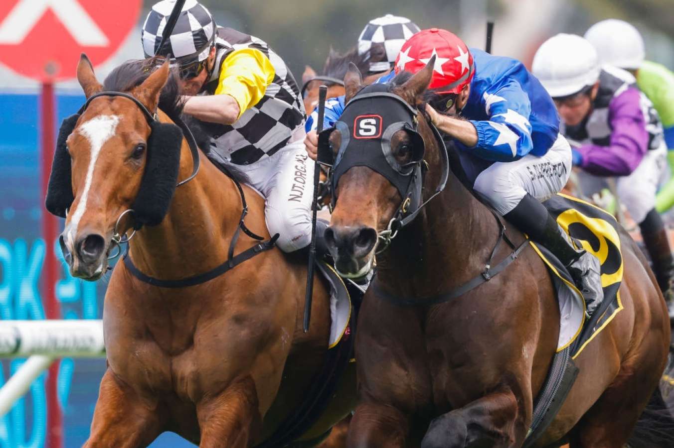 Form guru going chips-in on $8 chance in The Gong