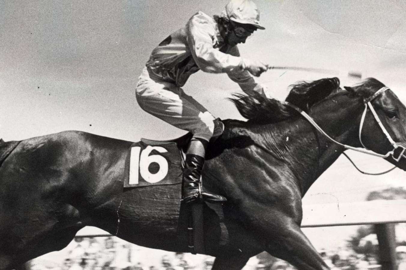 Unbelievable story of fairytale Melbourne Cup winner Piping Lane